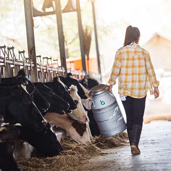 Rural Security - Farms and Lifestyle Blocks – Ross Galt
